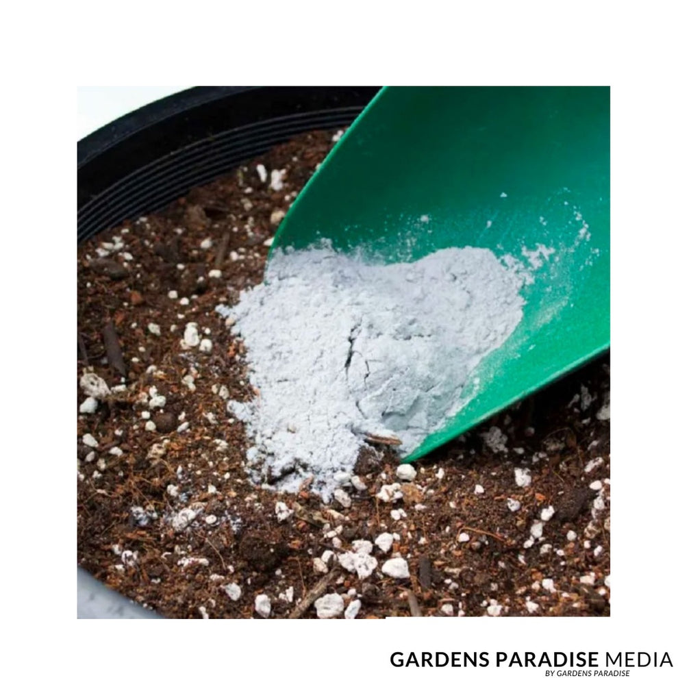 Garden Lime Powder 2kg – Aum Garden